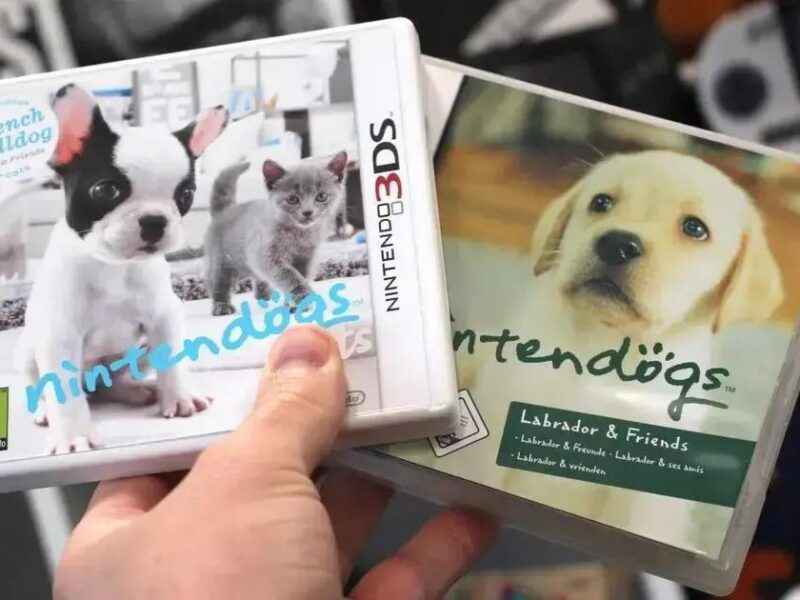 Por Que Nintendogs Não Está No Switch? Entenda Essa Questão! - Aqui é Gamer