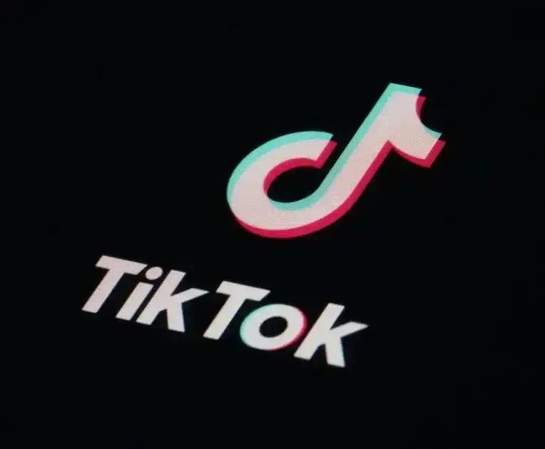 Roblox E Fortnite: Os Reis Do TikTok Gamer Em 2024 - Aqui é Gamer